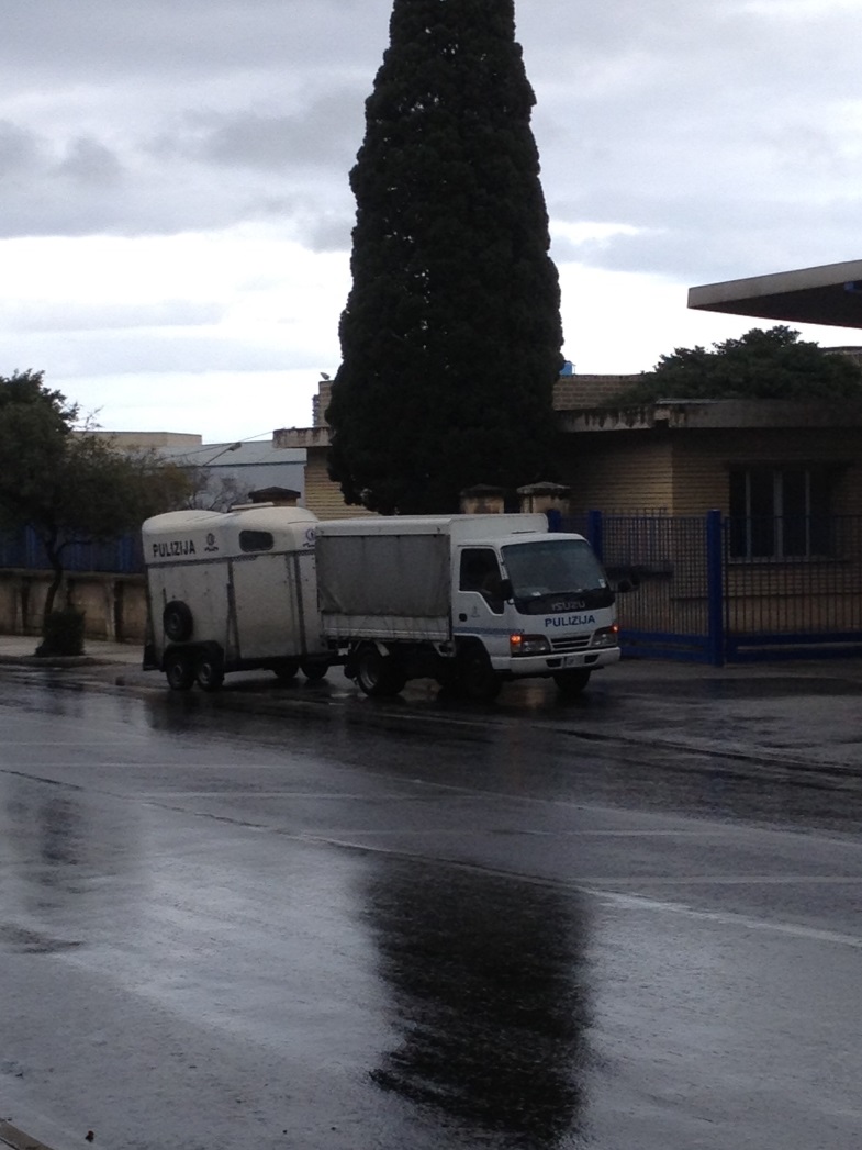 Aġġornat 2: Żiemel jisfratta... pulizija jisfa' ferut - TVMnews.mt