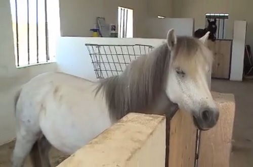 12-il żiemel isibu saqaf fuq rashom! - TVMnews.mt