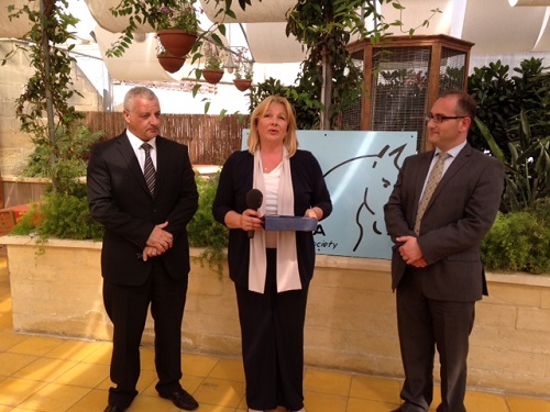 Assigurazzjoni li se tkopri ħsarat lil terzi f'każ t'inċidenti minn ...