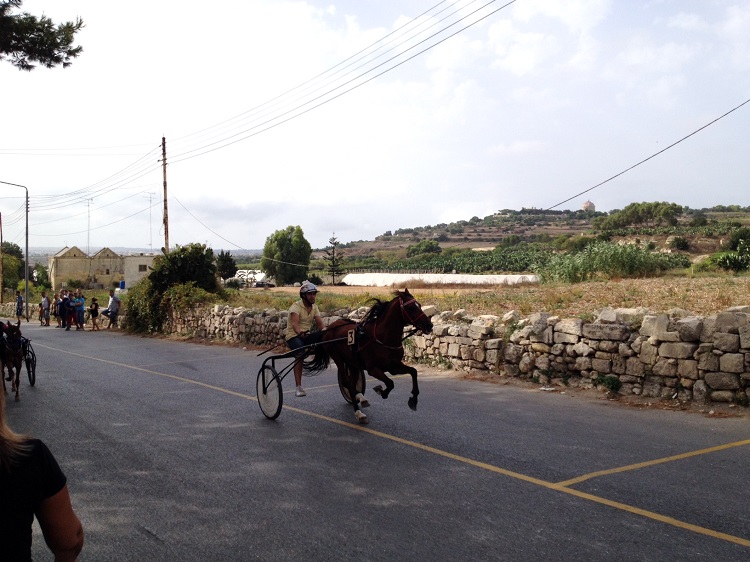 Tlielaq taż-żwiemel mhux fil-korsa tal-Marsa imma fi Triq it-Tiġrija r ...