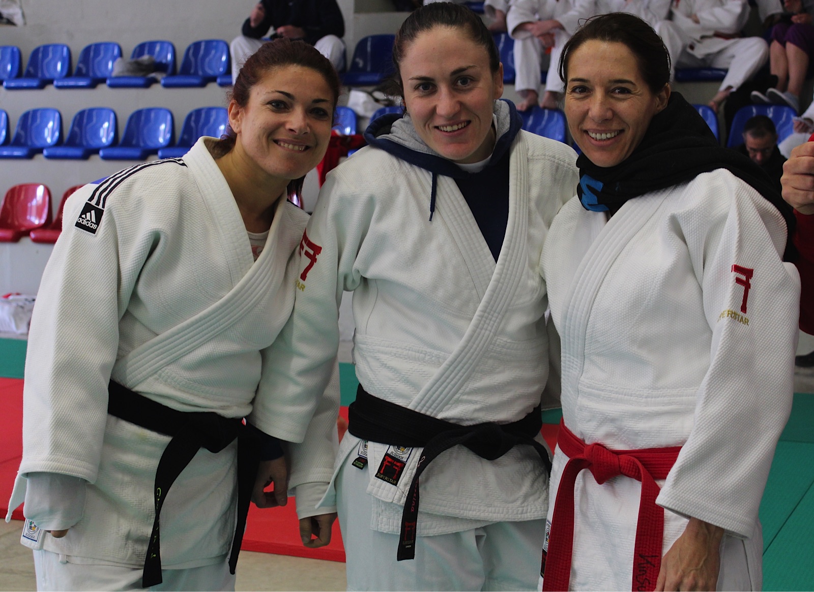 Archbishop says that housing issue should not be used as a partisan ...