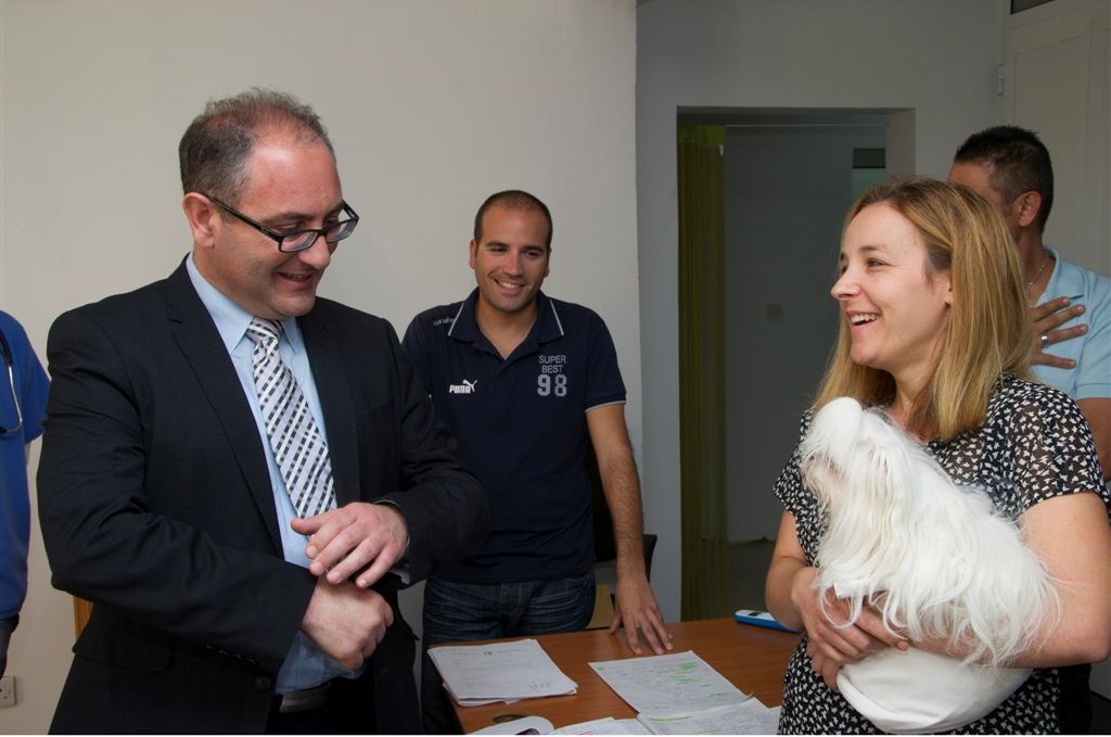 Stray animals to be neutered even in Gozo - TVMnews.mt