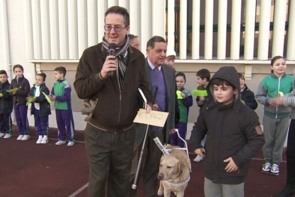 "Għajnejja, xogħlu l-kelb li jevitali l-ostakli li ma narax" - Ħamrun ...