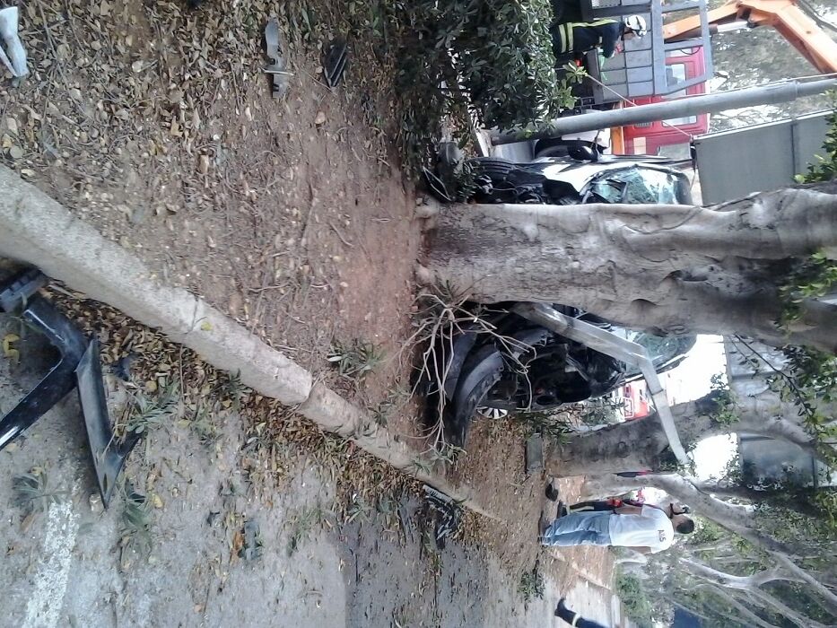 Van crashes into tree and overturns billboard at Marsa - TVMnews.mt