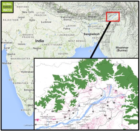 Video: Indian man plants hundreds of trees, "creates" forest - TVMnews.mt