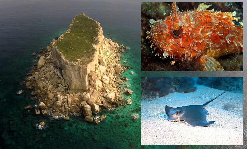 WATCH: Unique documentary about the magic of Filfla - TVMnews.mt