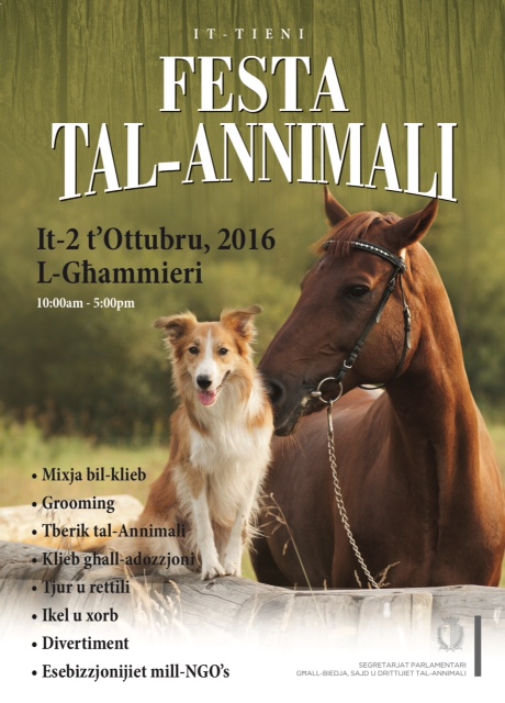 Festa tal-Annimali fil-Kumpless tal-Għammieri - TVMnews.mt