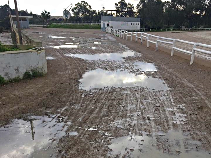 Agreement close for overhaul of Marsa racetrack - TVMnews.mt