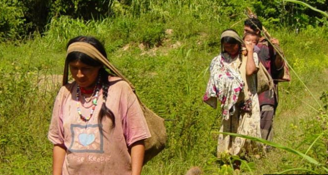 The Tsimanè, the strongest people in the world - TVMnews.mt