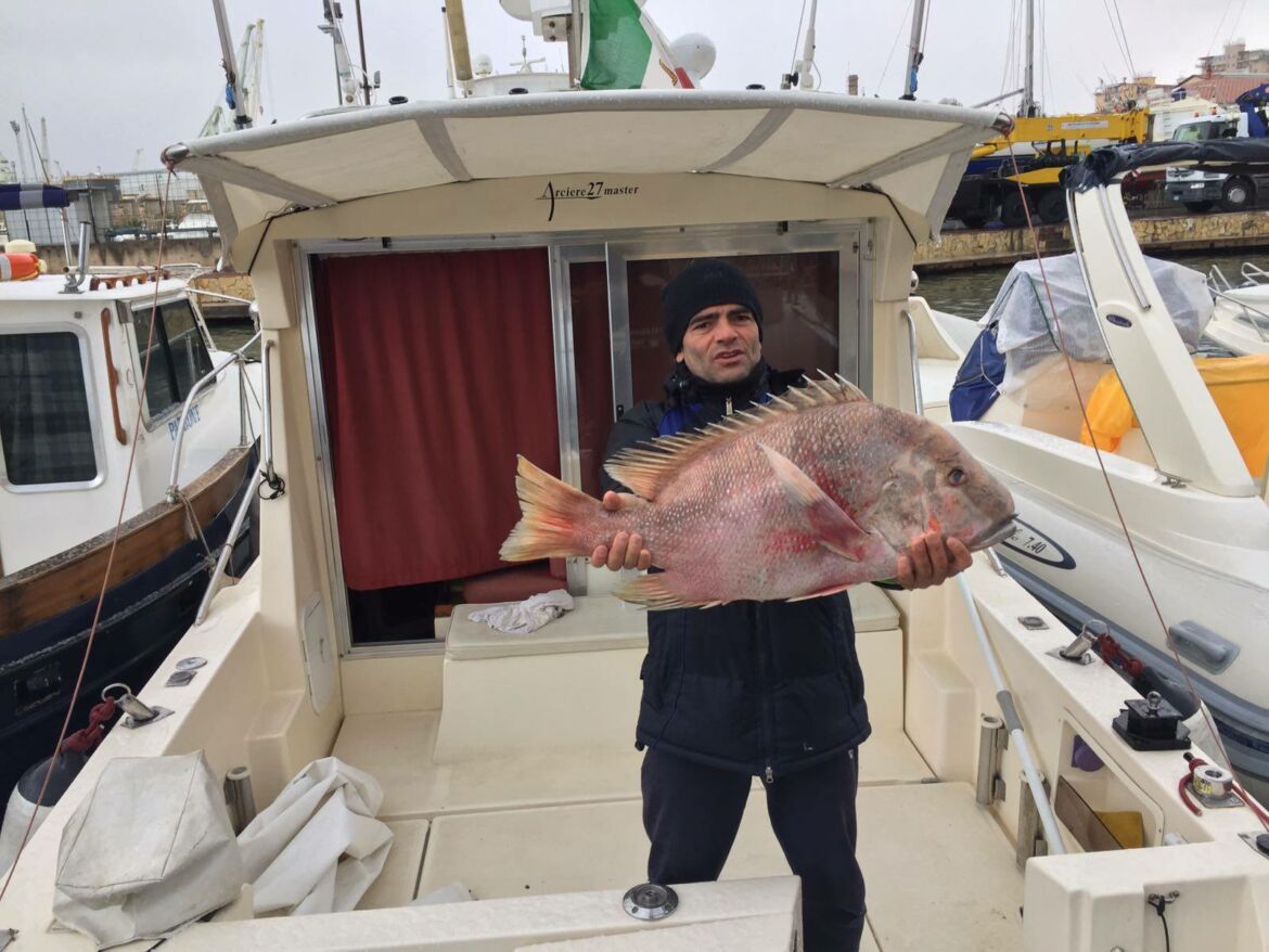 New species of fish caught in Sicilian waters which might also be found ...