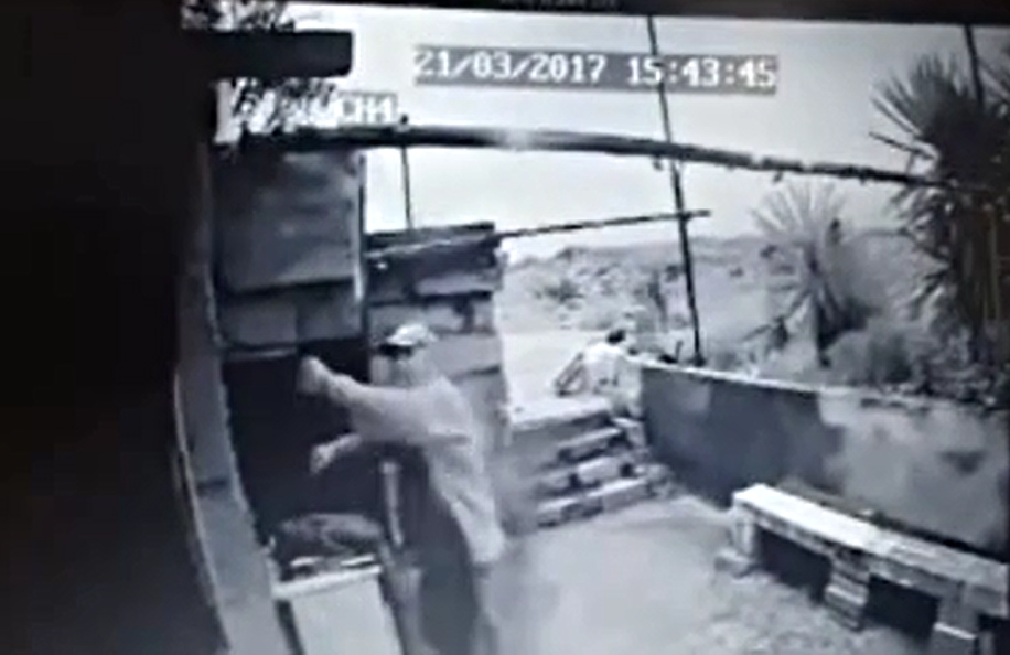 WATCH: Man caught on film stealing quails from a farm in Mtaħleb ...