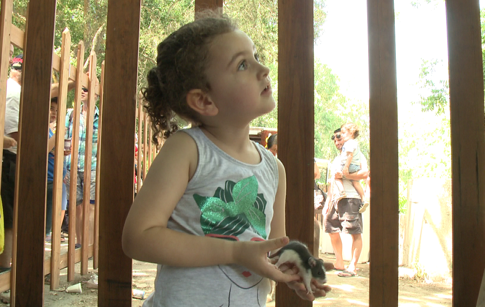 Farmers and herdsmen in cheerful mood with crops and animals at Imnarja ...