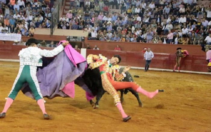GRAPHIC VIDEO: Matador gored by bull in Mexico - TVMnews.mt