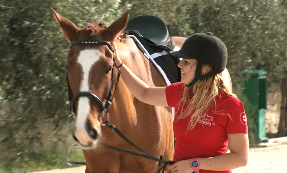 Horses doing their part to increase breast cancer awareness - TVMnews.mt