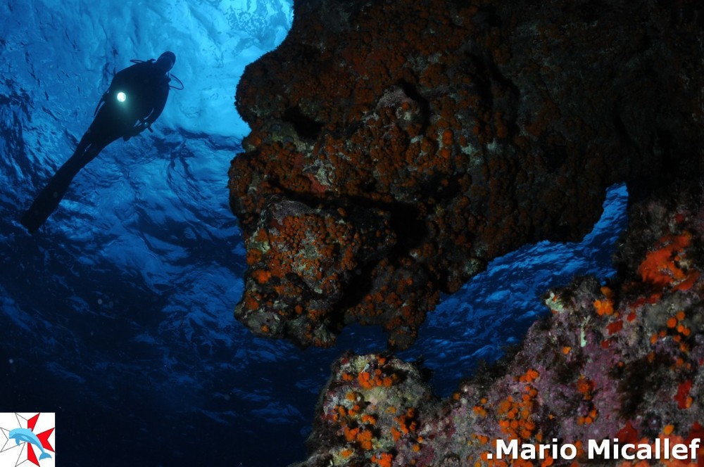 Il-baħar Malti jattira fotografi Maltin u barranin - TVMnews.mt