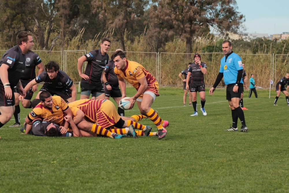 Rugby: Falcons jirbħu kontra Kavallieri 29 għal 12. Konfermata r ...