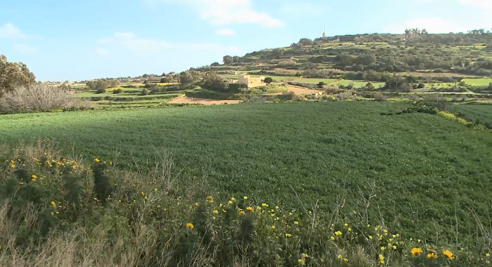 Agreement with private land owners on planting of Maltese indigenous ...