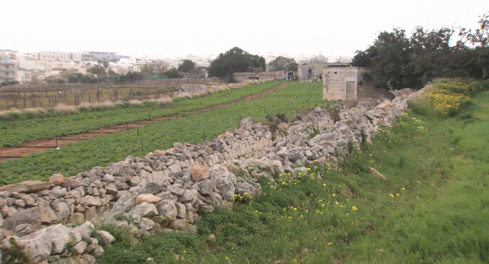 Bulebel industrial area extension leads to commotion among farmers ...