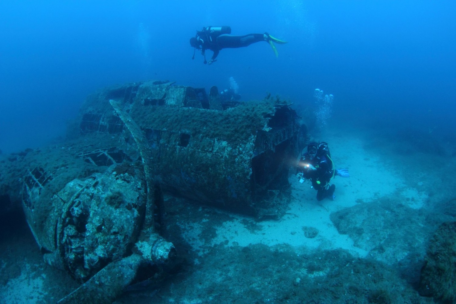 Malta considered best scuba diving destination - TVMnews.mt