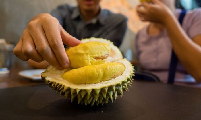 Rotting fruit evacuates Melbourne University - TVMnews.mt