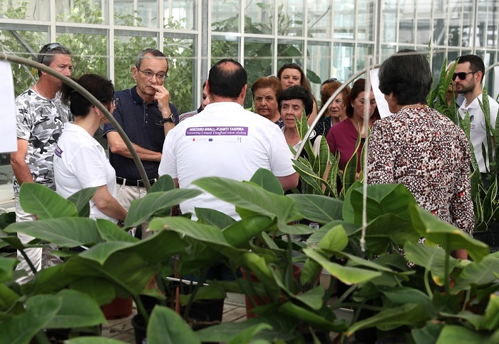 Garden for Maltese vegetation and trees in the centre of Attard ...