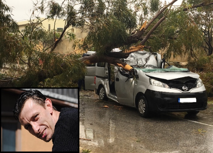 EXCLUSIVE: Dan Udrea inquiry concluded - tree which killed him worn out ...