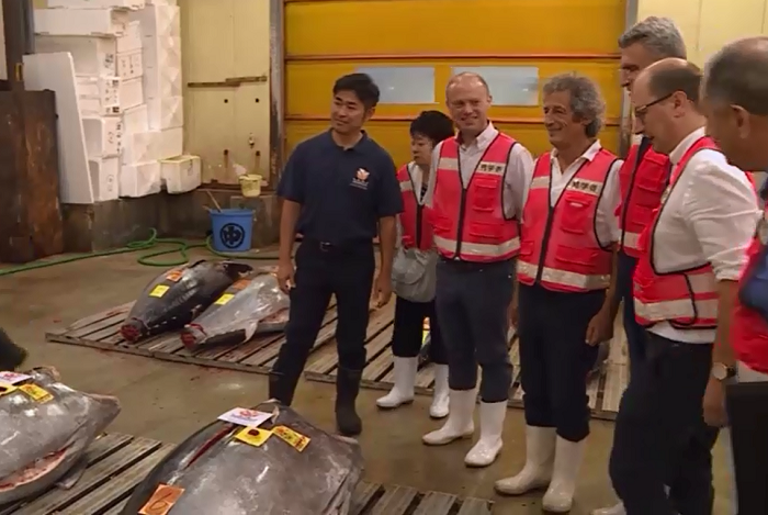 WATCH : Maltese tuna snapped up during auction in Japan - TVMnews.mt