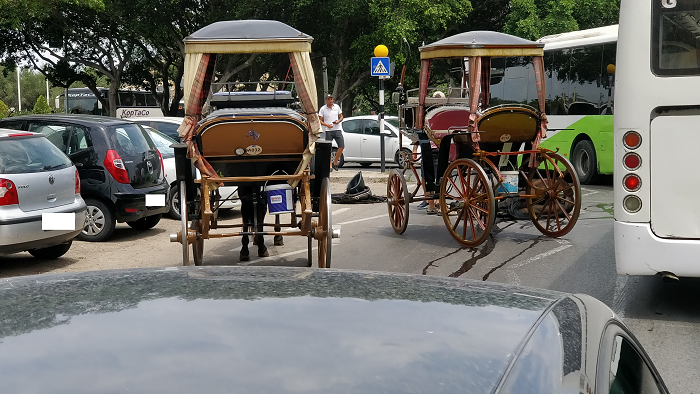Proċeduri kriminali kontra l-kuċċier taż-żiemel li miet fil-Furjana ...