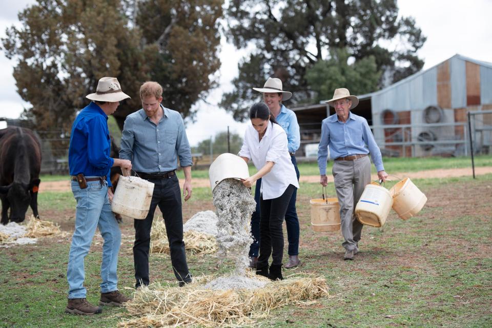 WATCH: Prince Harry and Meghan Markle feed the cows in Australia ...