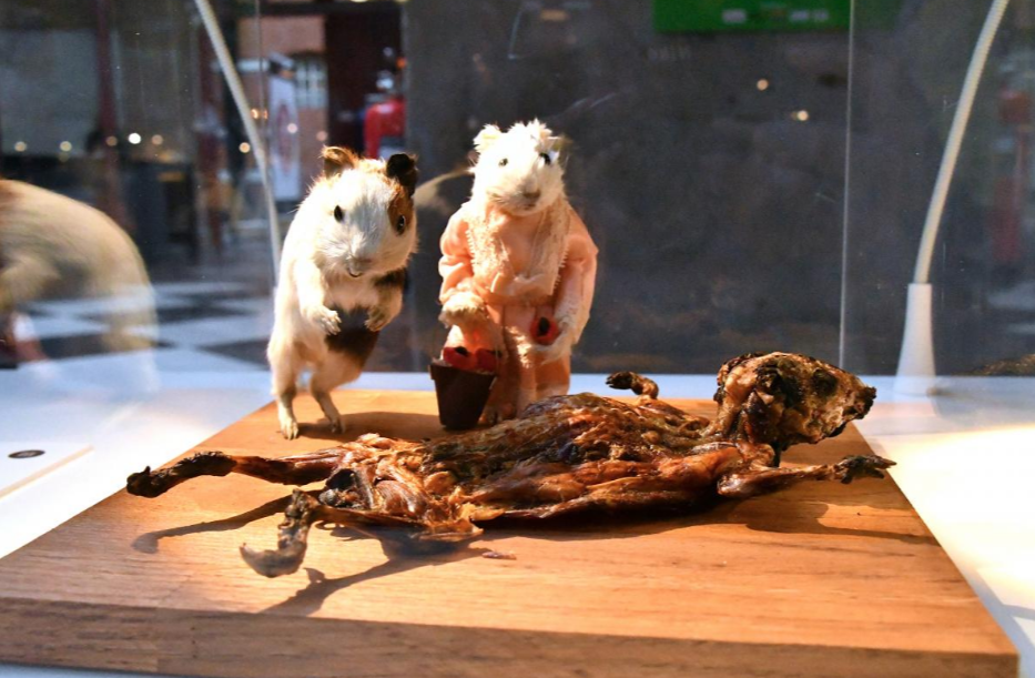 Would you try worm-infested cheese or frog smoothies? - TVMnews.mt