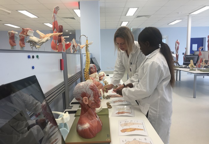 WATCH: What are students at new Anatomy Centre in Gozo doing? - TVMnews.mt