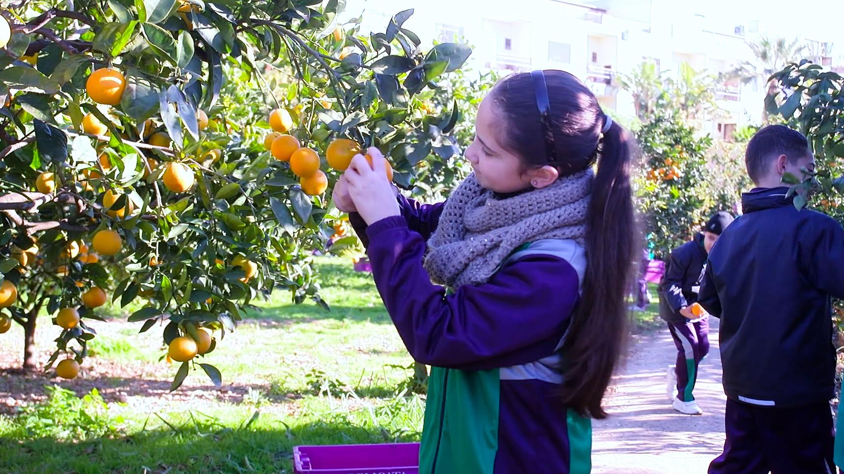 Qormi students give a helping hand at San Anton Palace - TVMnews.mt
