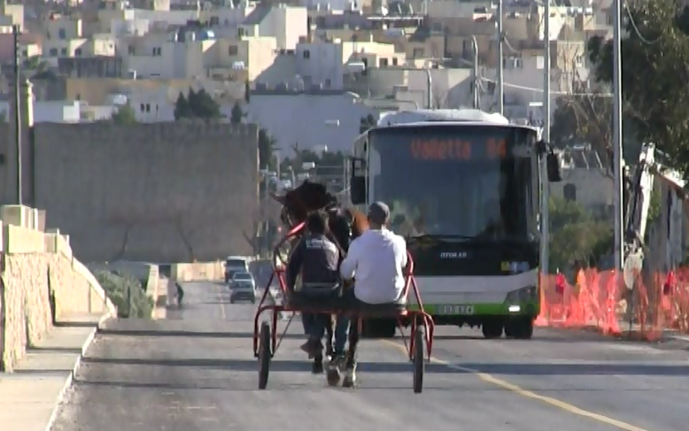 WATCH: Horse scared when bus passes along same road - TVMnews.mt