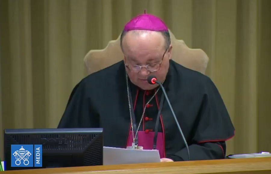 WATCH: Archbishop Scicluna addresses Vatican summit on child abuse ...