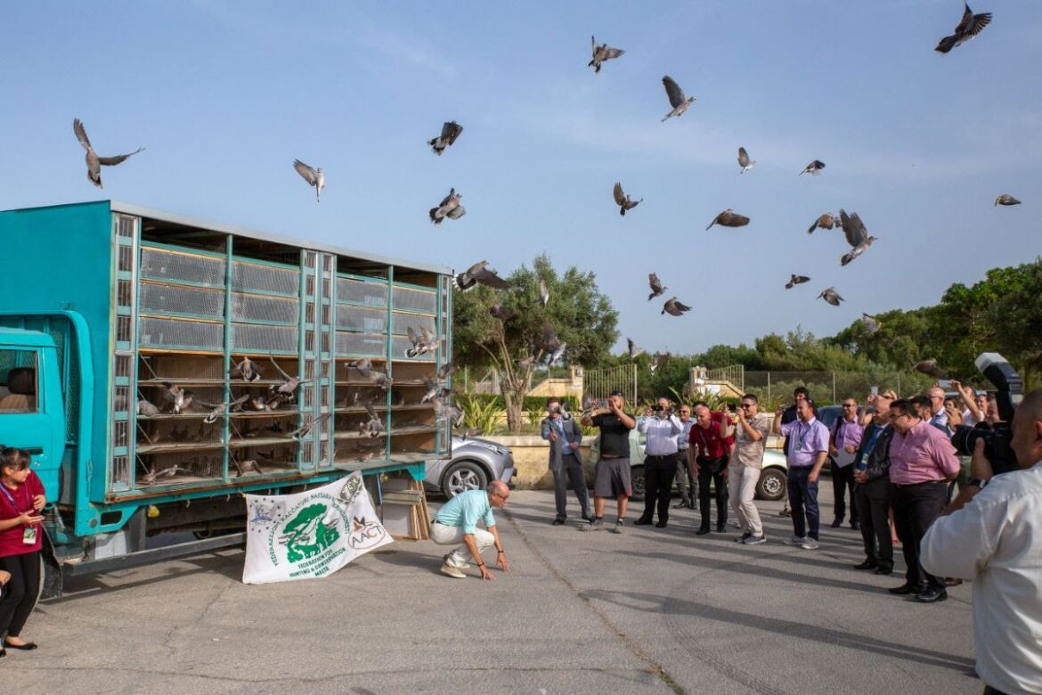 L-FKNK trabbi u teħles aktar minn 350 gamiema fis-salvaġġ - TVMnews.mt