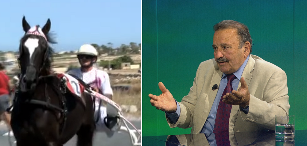 "If Animal Welfare officials are present for horse races on public ...