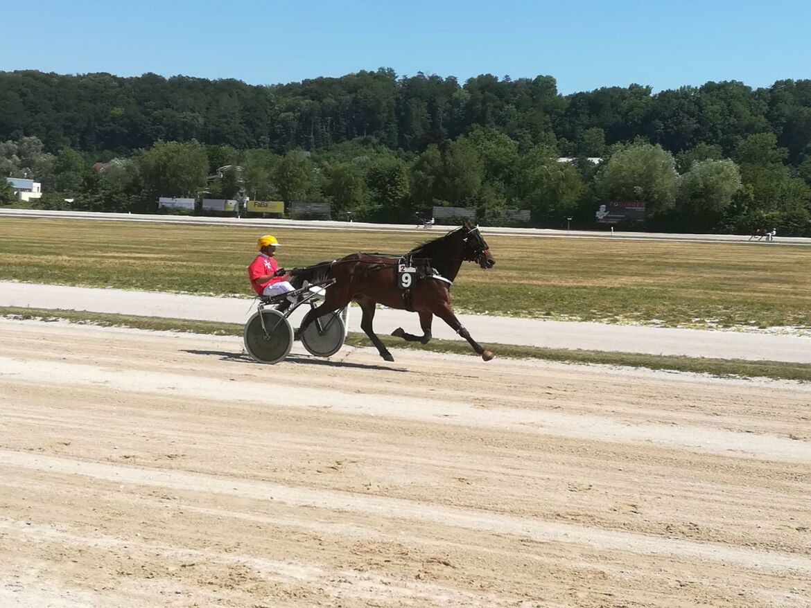 Tiġrijiet taż-żwiemel: Redent Magro jirbaħ it-Tazza FEGAT fil-korsa ta ...