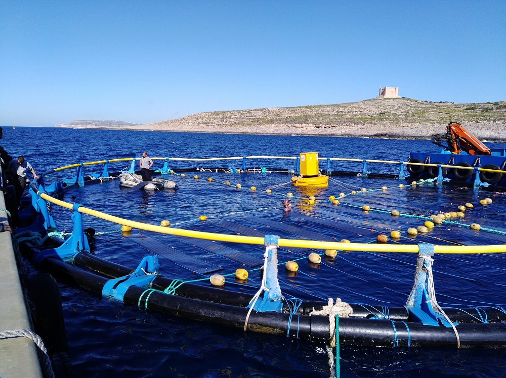 Exploring the possibility of generating solar energy at sea - TVMnews.mt