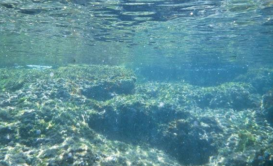 ERA says sea slime at Marsaskala was cleaned - TVMnews.mt