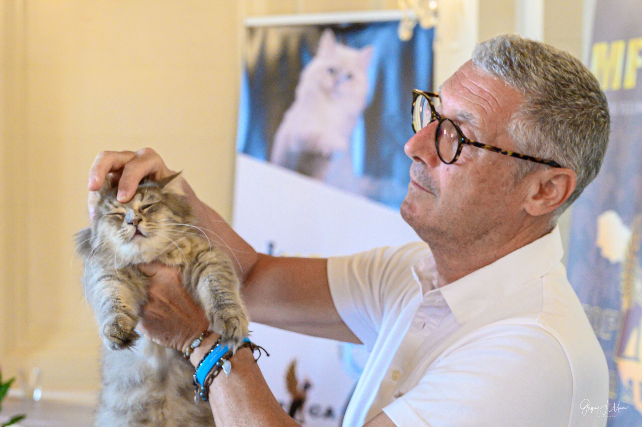 Christmas Time WCF Cat Show - TVMnews.mt