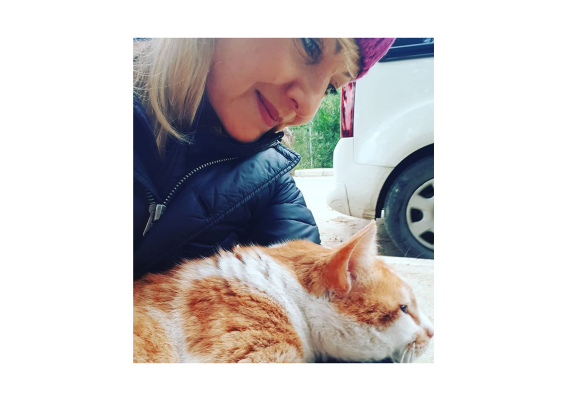 Need for national cat neutering campaign - Moira Delia - TVMnews.mt