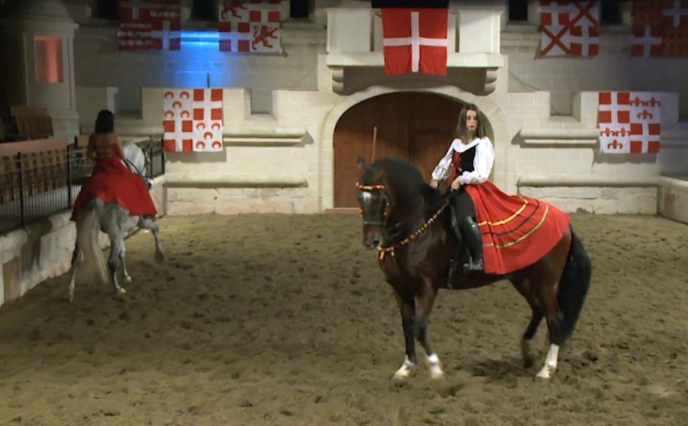 WATCH: Preparations for dressage spectacle in Malta - TVMnews.mt