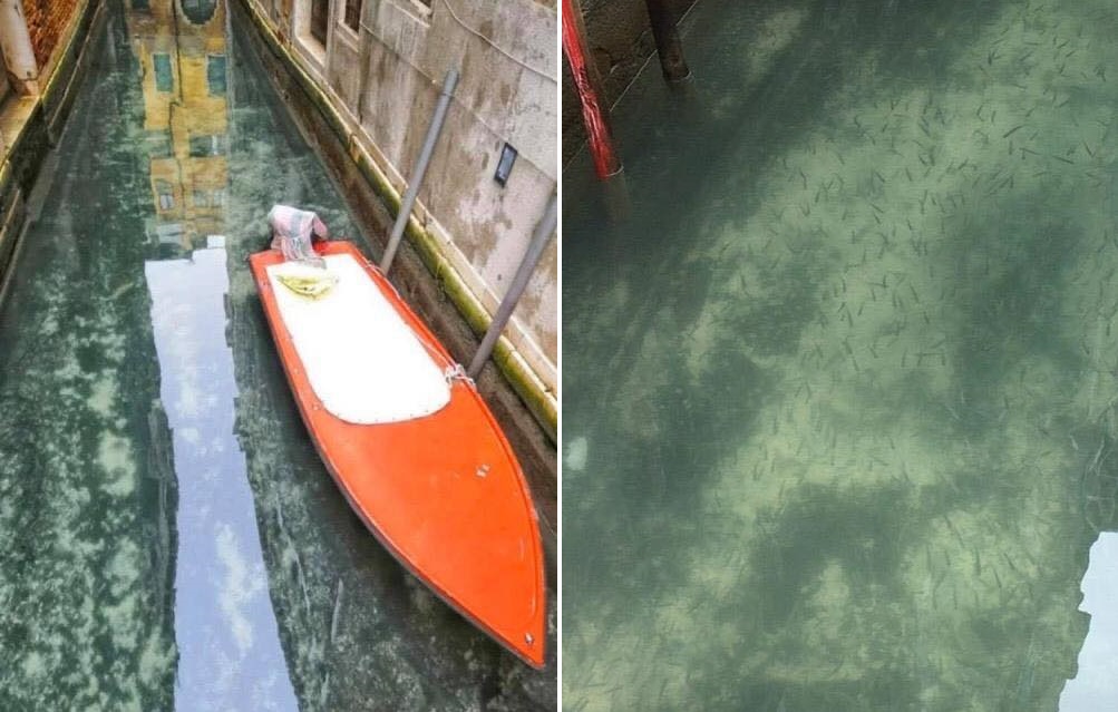 See how clear the water in Venice canal has become following the ...