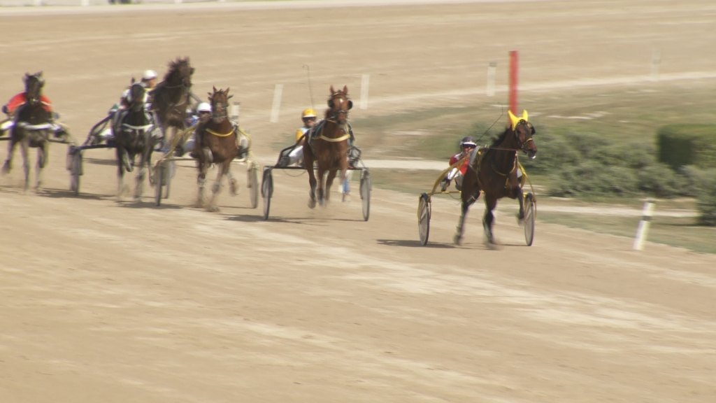 Tiġrijiet taż-żwiemel: Il-Kunsill tal-Malta Racing Club jissospendi l ...
