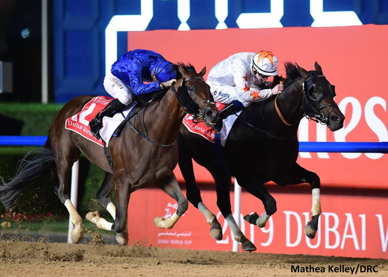 Tiġrijiet taż-żwiemel: It-Tazza tad-Dinja ta' Dubai posposta minħabba l ...