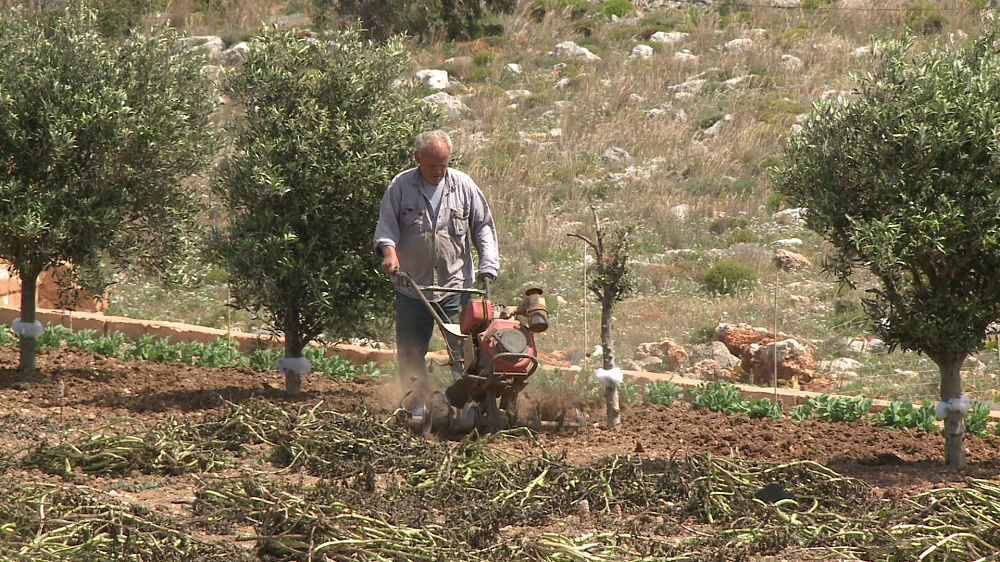 Concession to farmers who are applying for European funds - TVMnews.mt