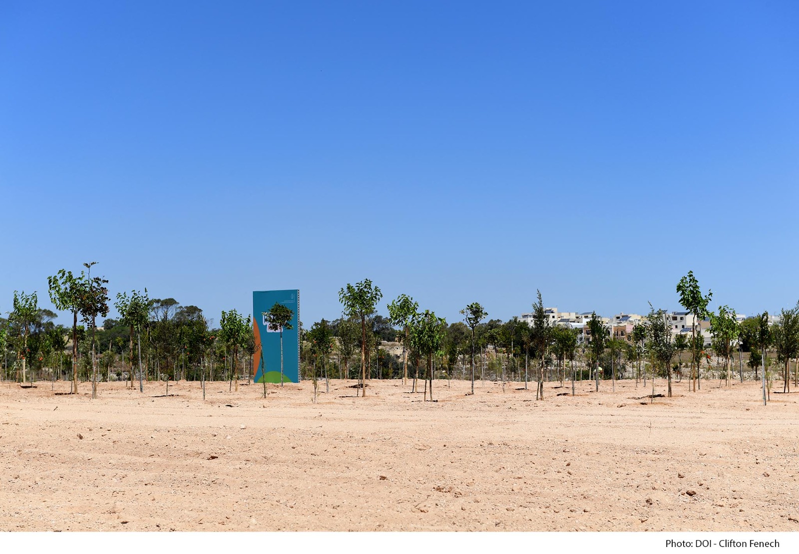 Over 2,200 trees planted at the new Family Park in Birżebbuġa - TVMnews.mt
