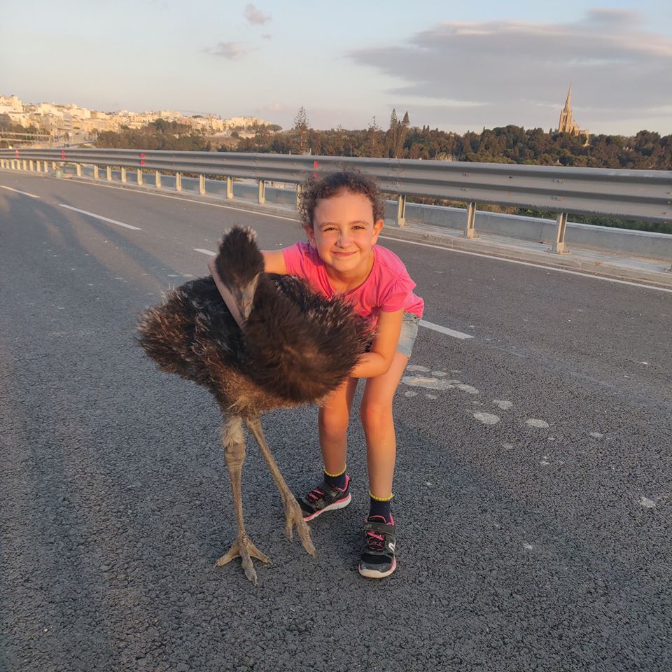 WATCH: An unusual race...between two children and an emu! - TVMnews.mt