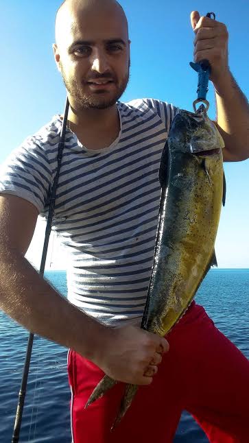 Kont taf li hemm il-lampuka rari? - TVMnews.mt