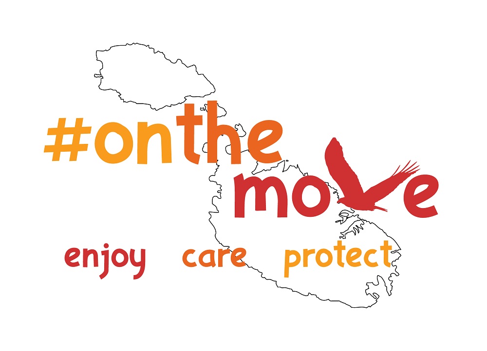 BirdLife Malta launches #onthemove campaign - TVMnews.mt